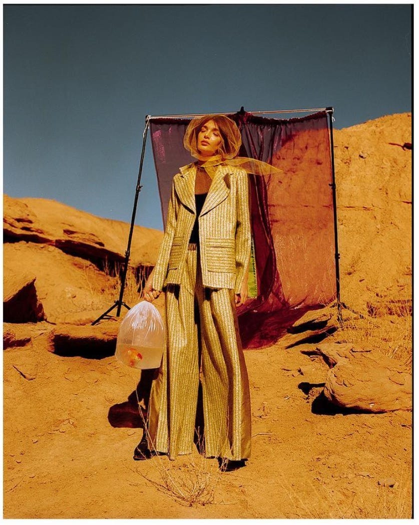 Following the Dream of Modeling: The stories of Iranian Models and ...