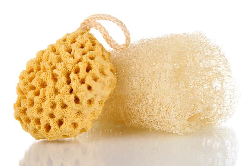 Know More About Loofah Sponge for Your Daily Shower | by Sponges Direct ...