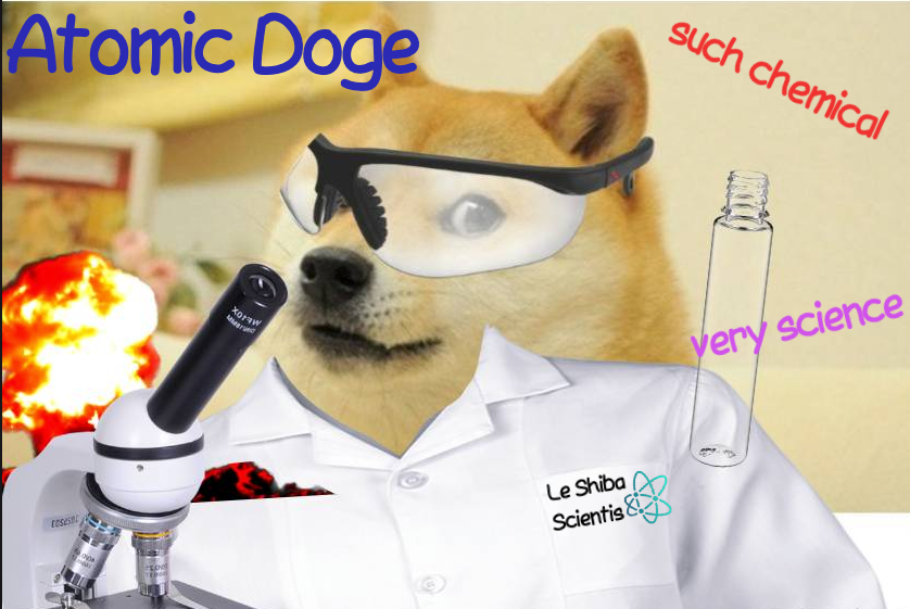 The First Dogecoin Decentralized Exchange - DogeDEX - Medium