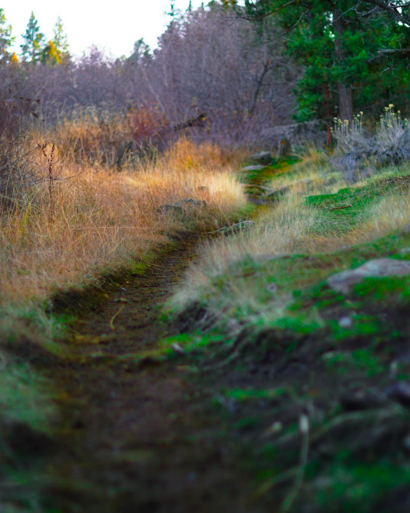 The best path is rarely easy or straight. | by Chris Behnke | Medium