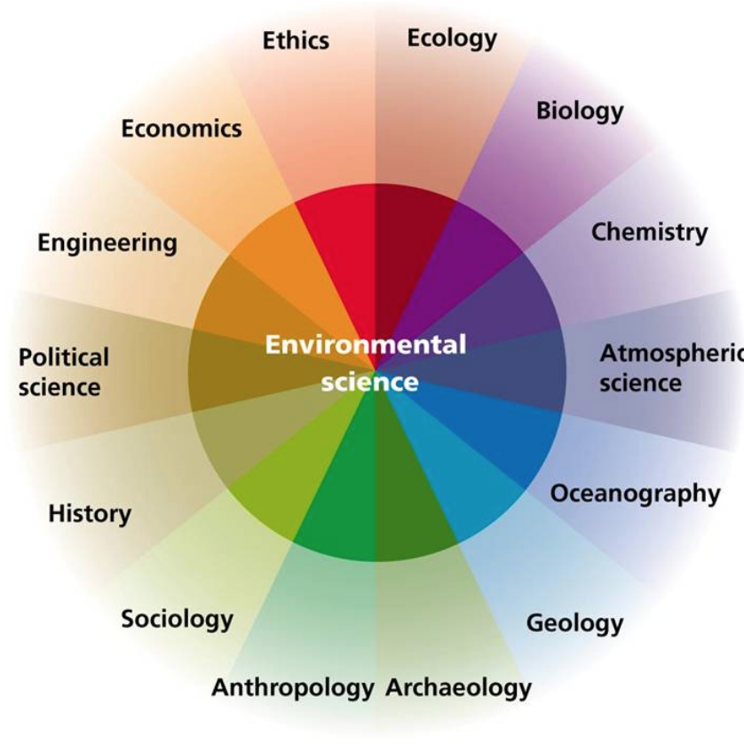 Interdisciplinary Approach People Are Starting To Realize That The Interdisciplinary Approach People Are Starting To Realize That The