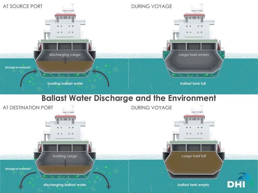 Aquatic Invasions Through Ballast Tanks | by Kate Alley | Medium
