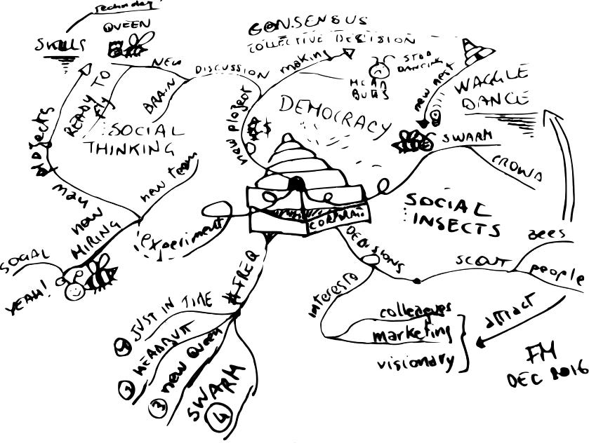 Scaling the company with the waggle dance. | by Francesco Mondora | B ...