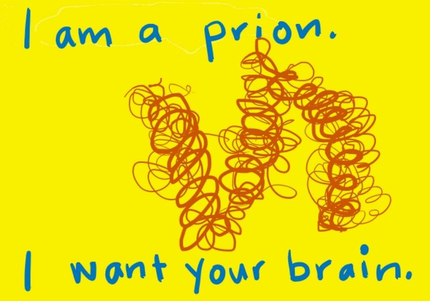 What is Prion? | by Biology Experts Notes | Medium