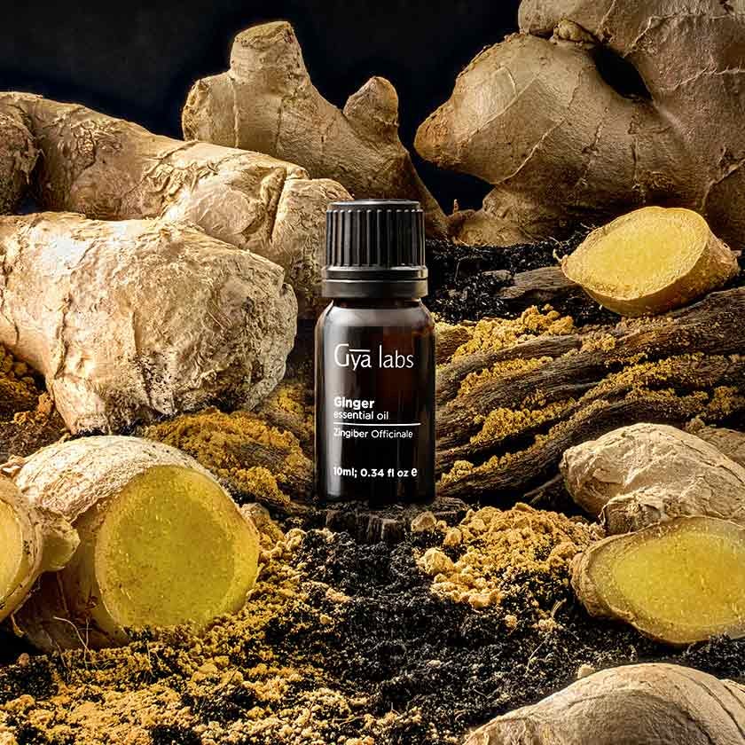 Ginger Massage Oil Recipe For Sore Muscles By Milesjhonnson Medium