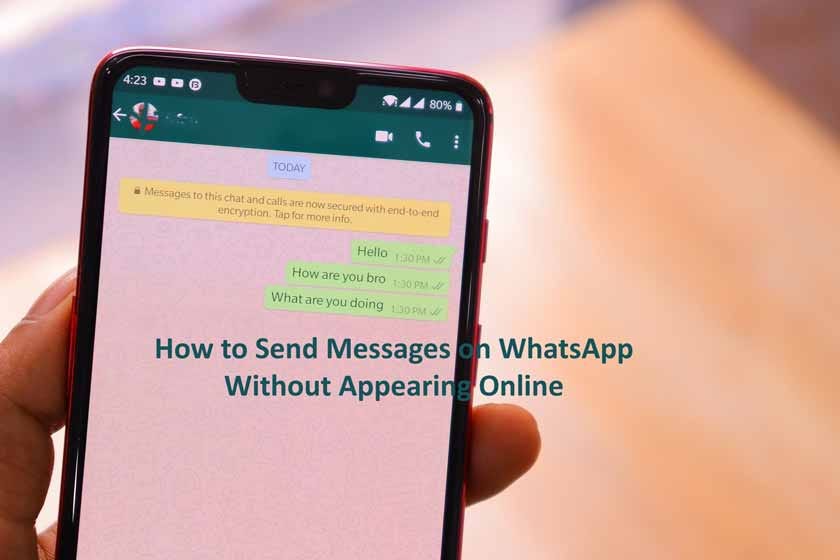 How to Send Messages on WhatsApp Without Appearing Online | by ...