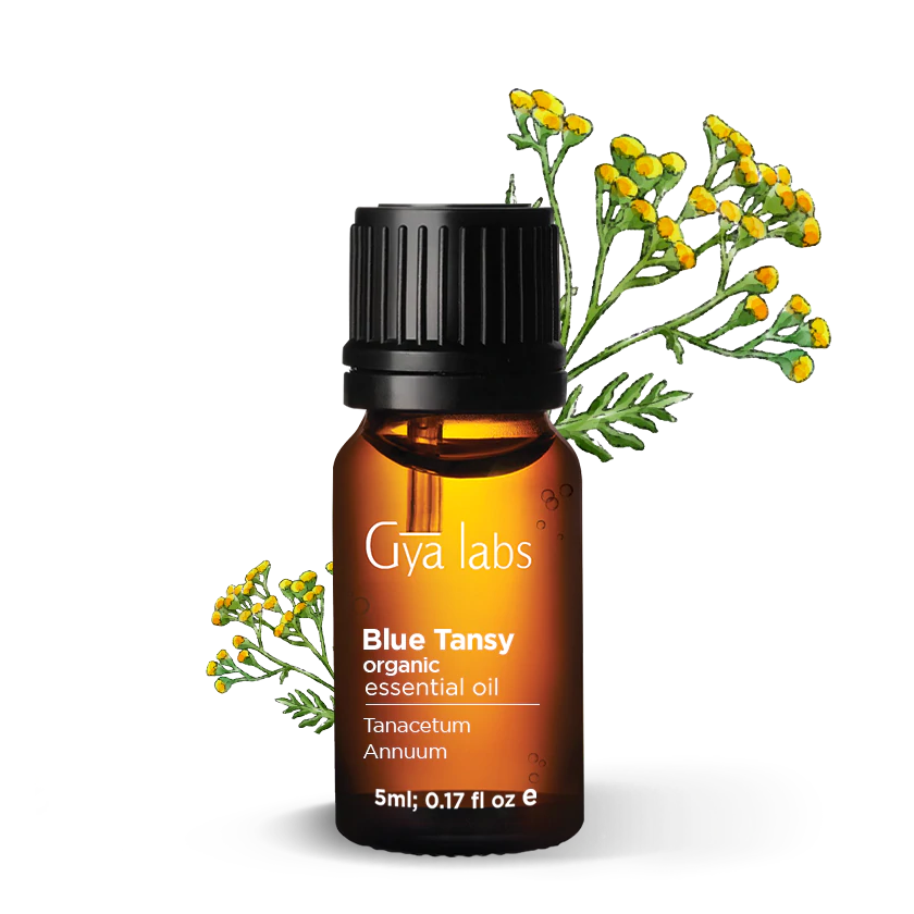 Benefits of Organic Blue Tansy Essential Oil.!! | by Milesjhonnson | Medium