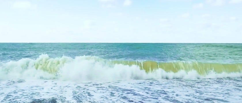 World. “Oceans Day” | by Kimmy Foulds Strength By The Sea Publication🌴 ...
