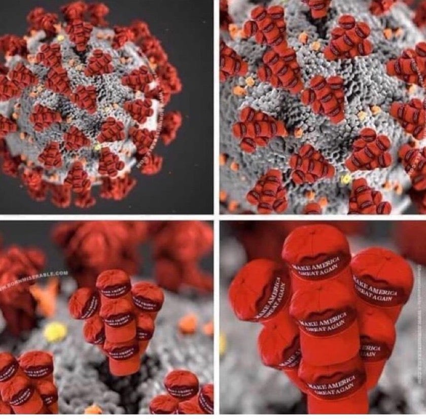 The Real Virus. I’ve been thinking a lot about what the… | by David ...