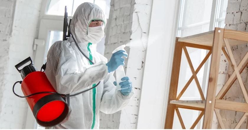 Mega Pest Control: Your Solution for Mouse Control in Langley and ...
