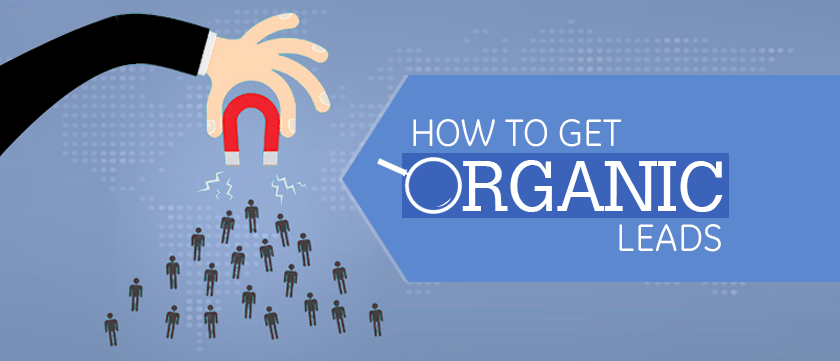 How To Get 850K Organic Leads In 1 Month | by Allen D. | Medium