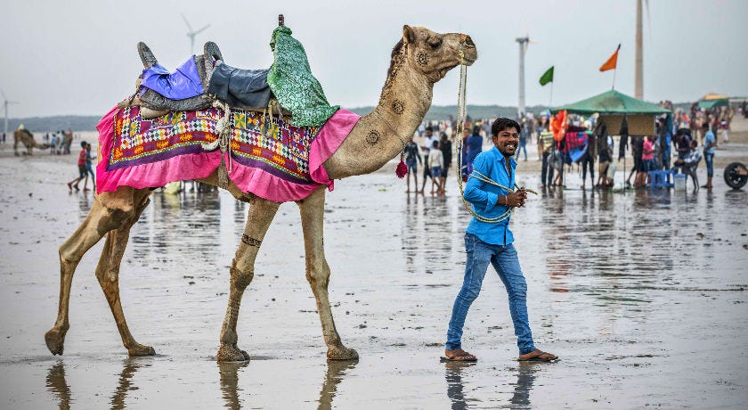 Jewels Of Rural Tourism Gujarat | Gujarat Itinerary For 10 Days | by ...