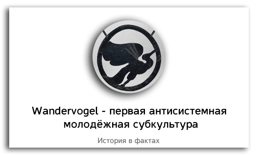 Wandervogel. Может показаться странным, но именно… | by История в ...