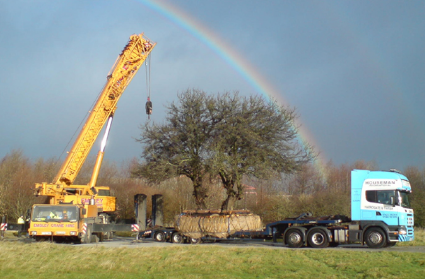 Find The Reason To Choose Civic Trees As Tree Movers For Moving Large ...