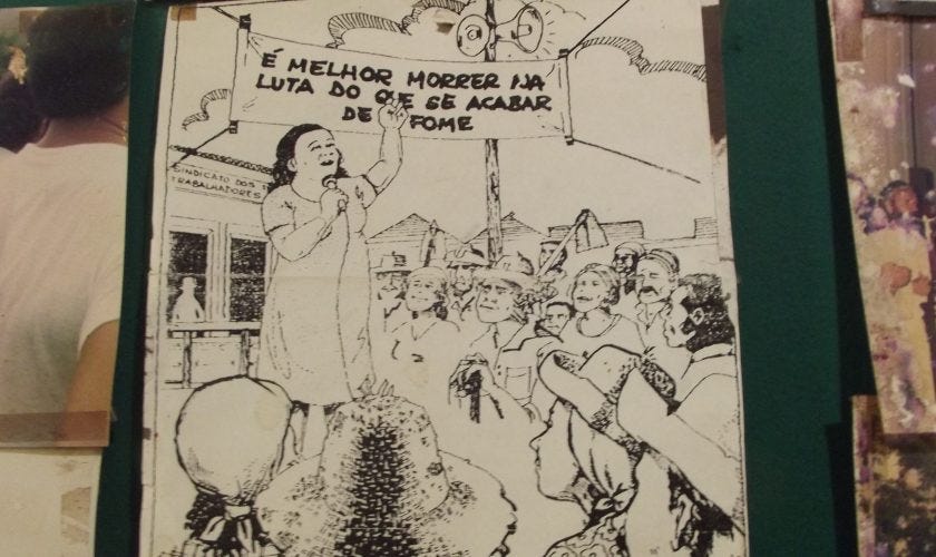 A história de uma Margarida. Por Luiz Felipe Bolis | by Blog Olhar ...