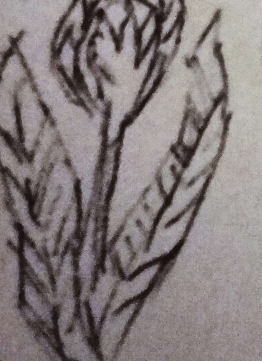 Yesterday, I drew this flower.. But I want to keep it anyway. | by ...