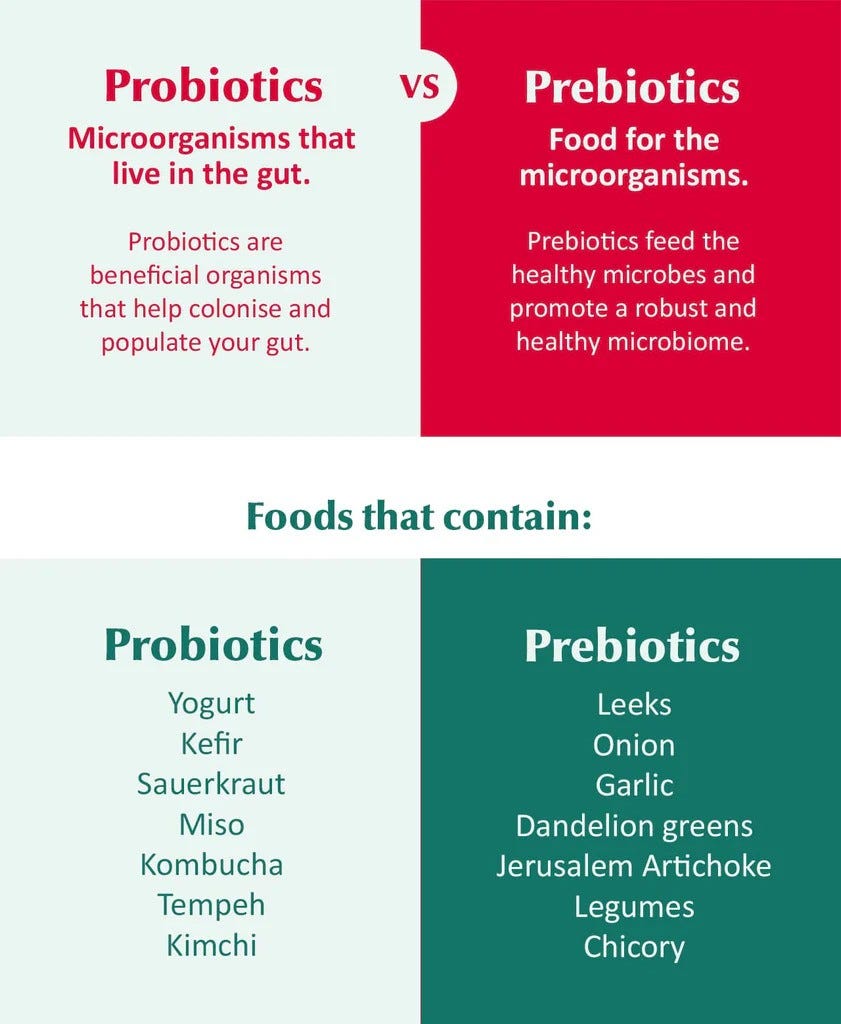 Prebiotics, Probiotics, and Postbiotics — What’s the difference? | by ...