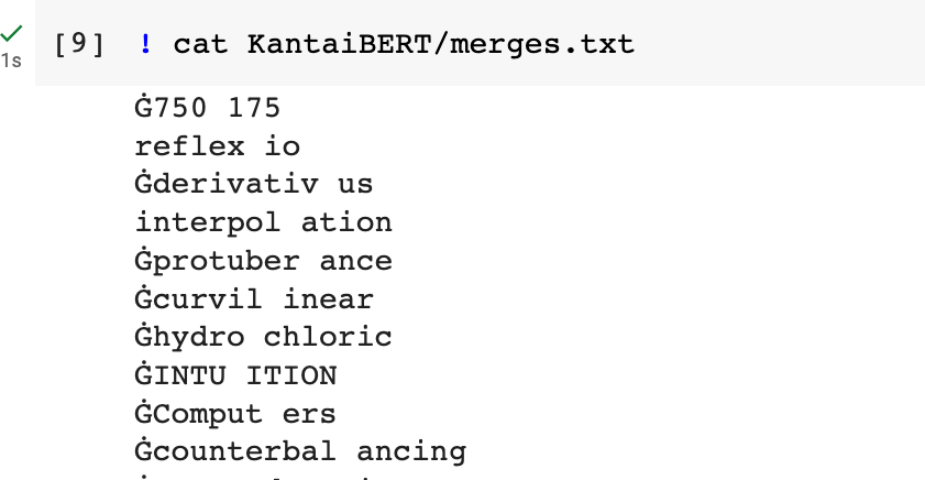 Building a Transformer Model from Scratch: Introducing KantaiBERT | by ...