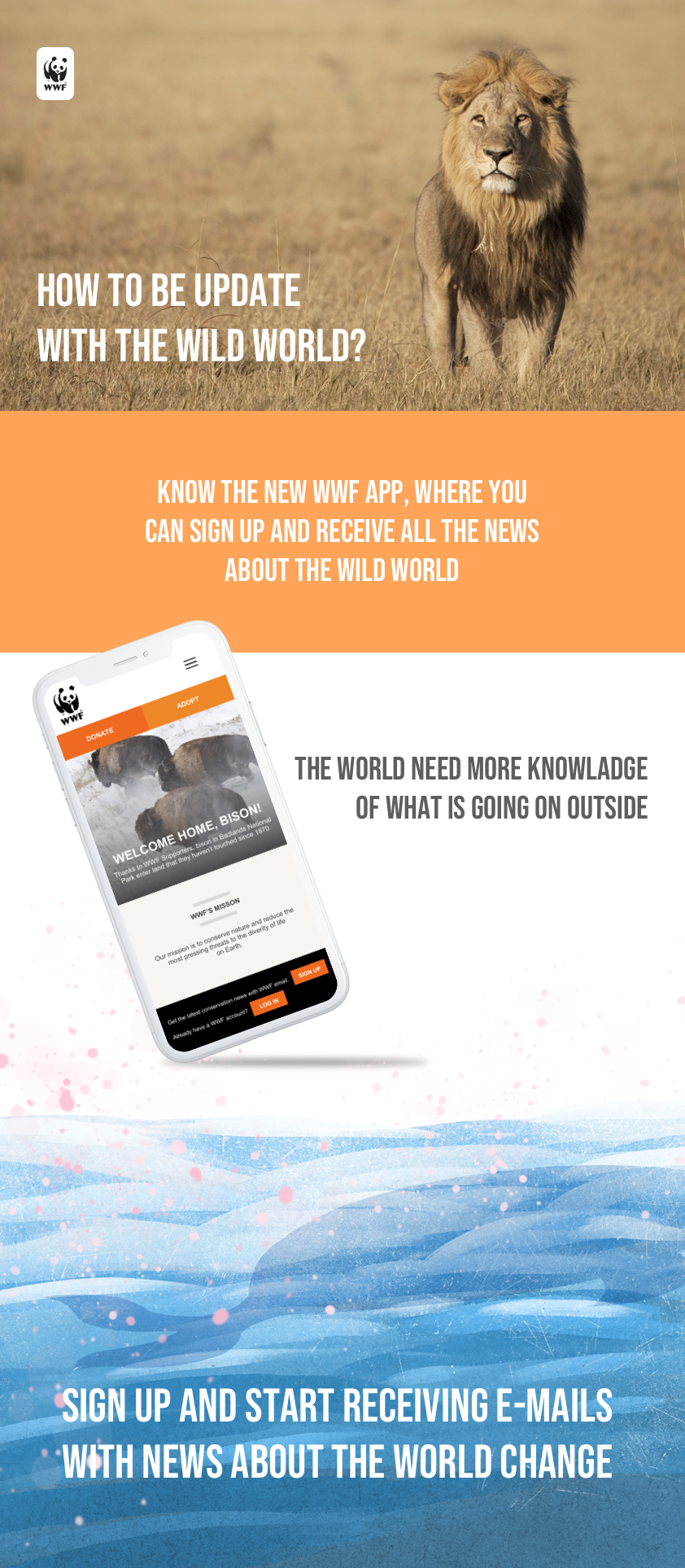 WWF Sign Up Page. Daily Challenge #001 | by Rebeca Natalie | Medium