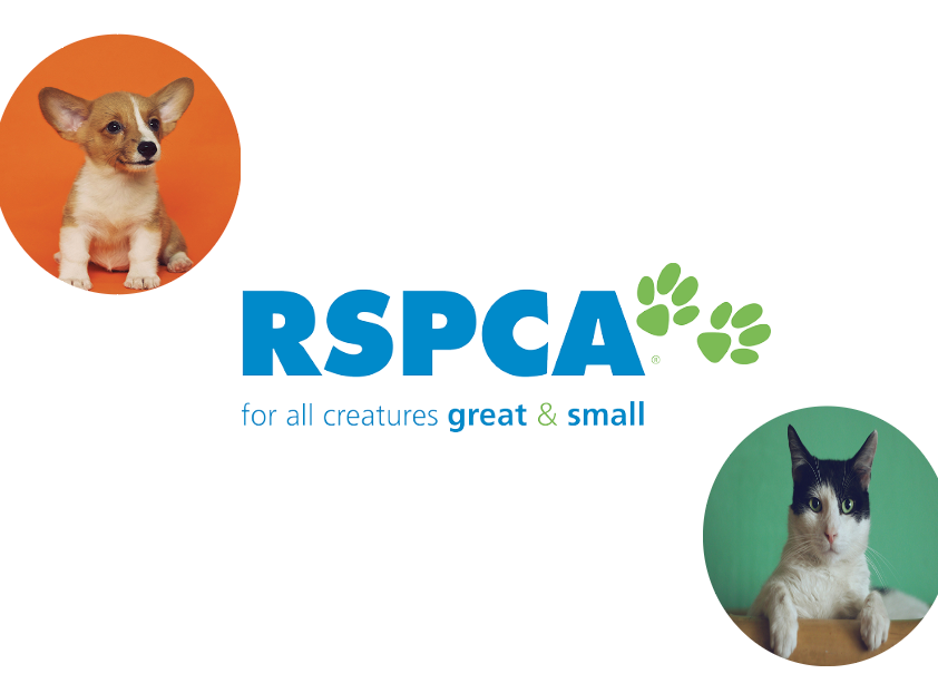 RSPCA- Pet Care Mobile App- Design concepts | by Sally Chong | Apr ...
