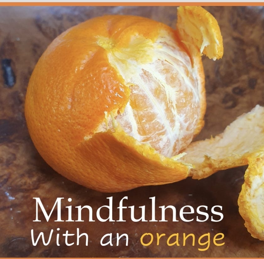 Mindfulness with an Orange. “I never really liked oranges before” | by ...