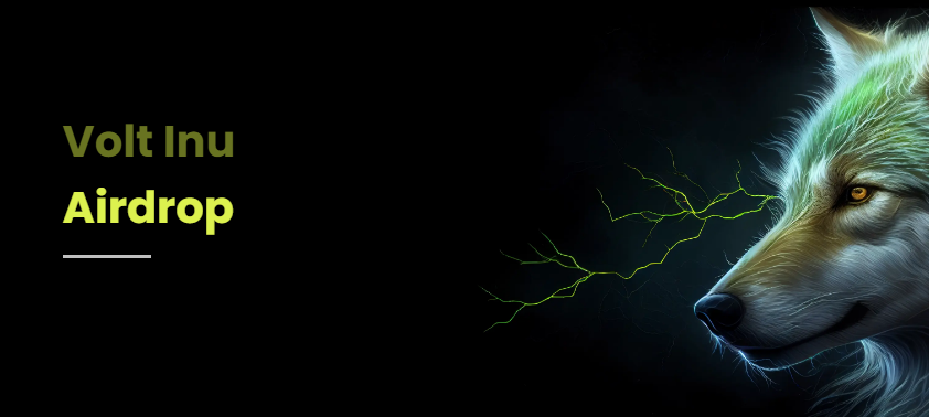 VOLT Inu Airdrop-Easy Steps to Claim | Medium