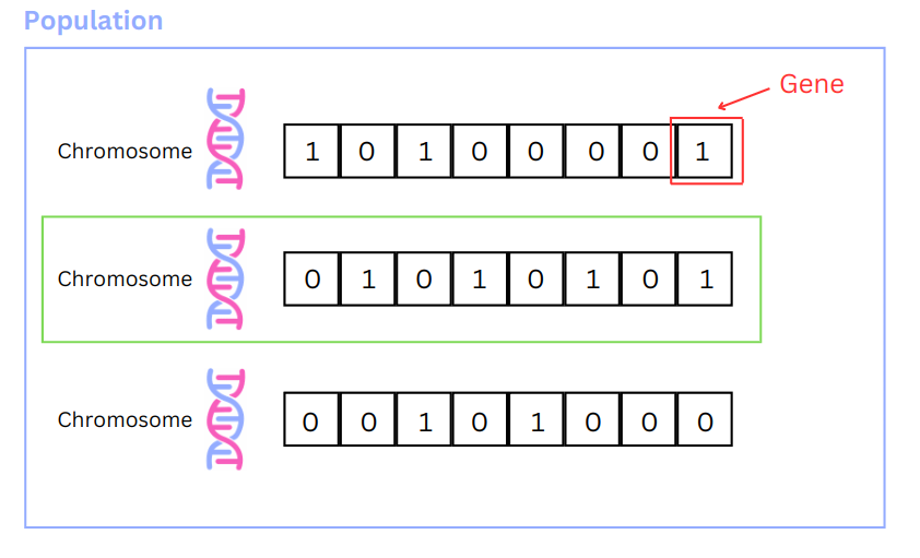 Genetic Algorithm(GA) เบื้องต้น. สวัสดีครับ วันนี้จะมาคุยเรื่อง Genetic… | by Napas ...