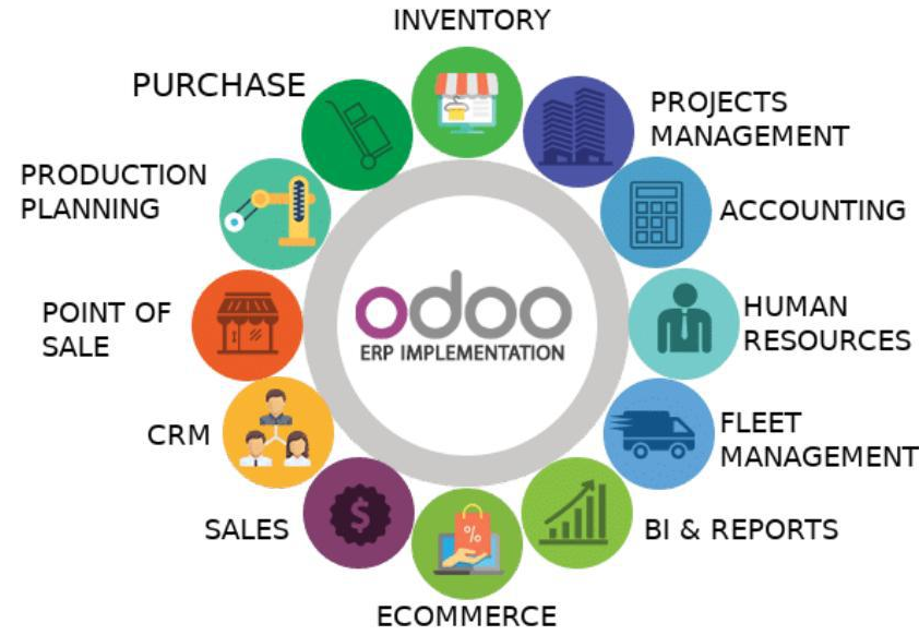 Keypoints That Directly Affects Your Odoo Implementation | by Sylvie ...