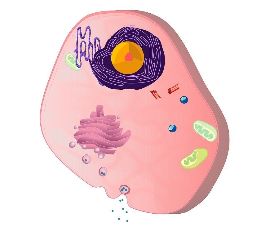 Biology Clipart Cell