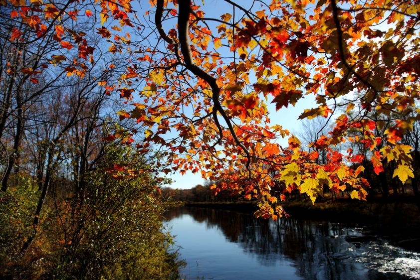 Best Places To Experience The Fall Season | by MyState MLS | Medium