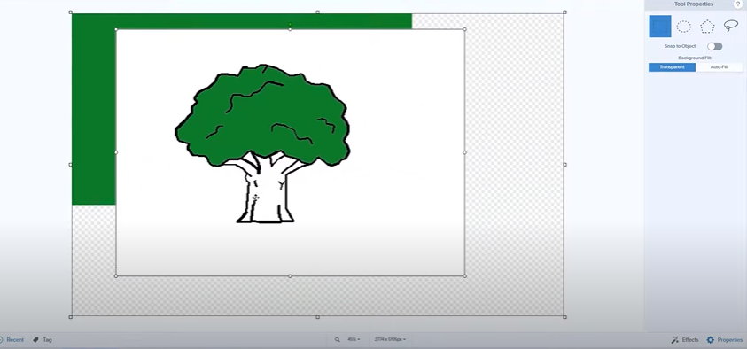 Make an Image Transparent in Snagit | by Bilkish Nipa | Medium