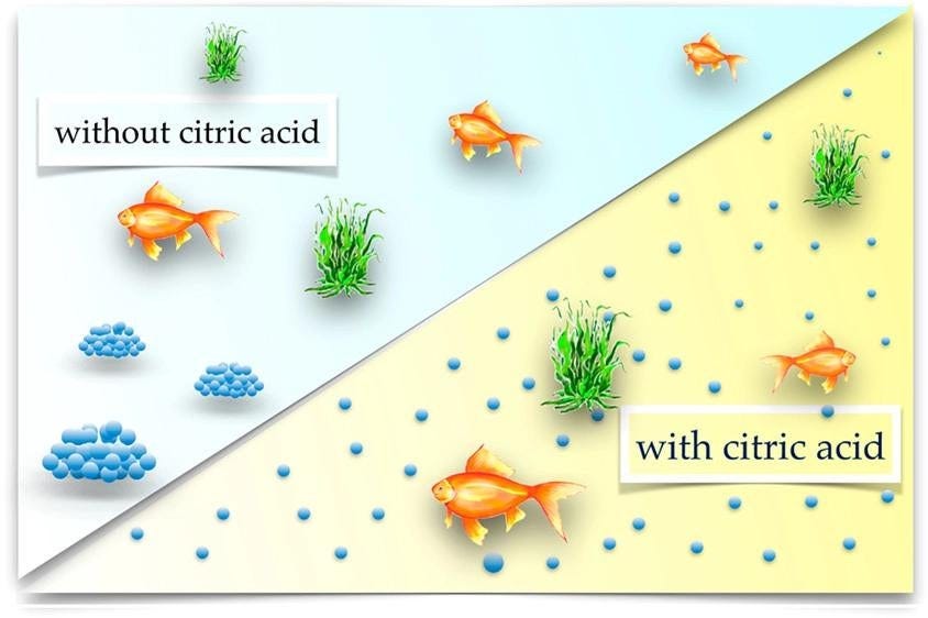 What are the main application areas of citric acid? | by Rosettaugn ...