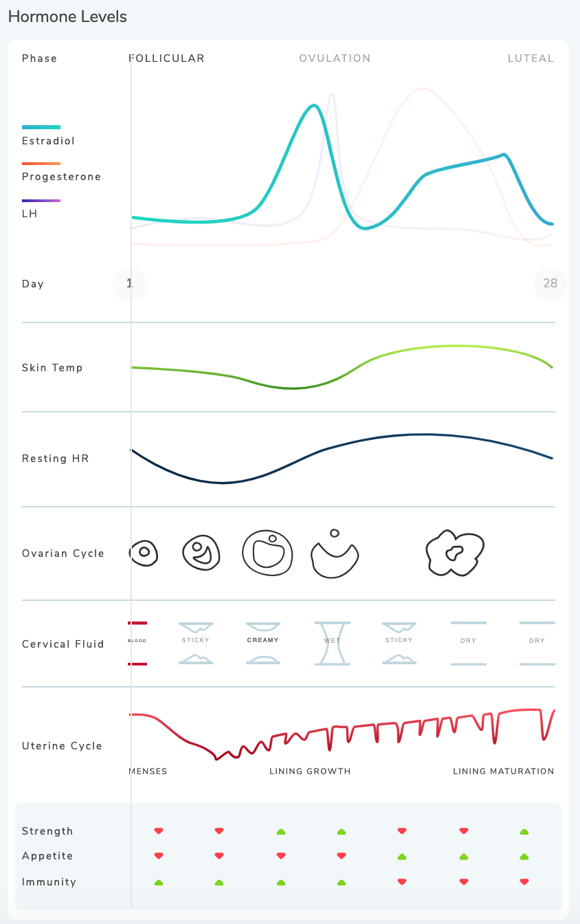 Unleashing the beast in female athletes with personalised training AI ...