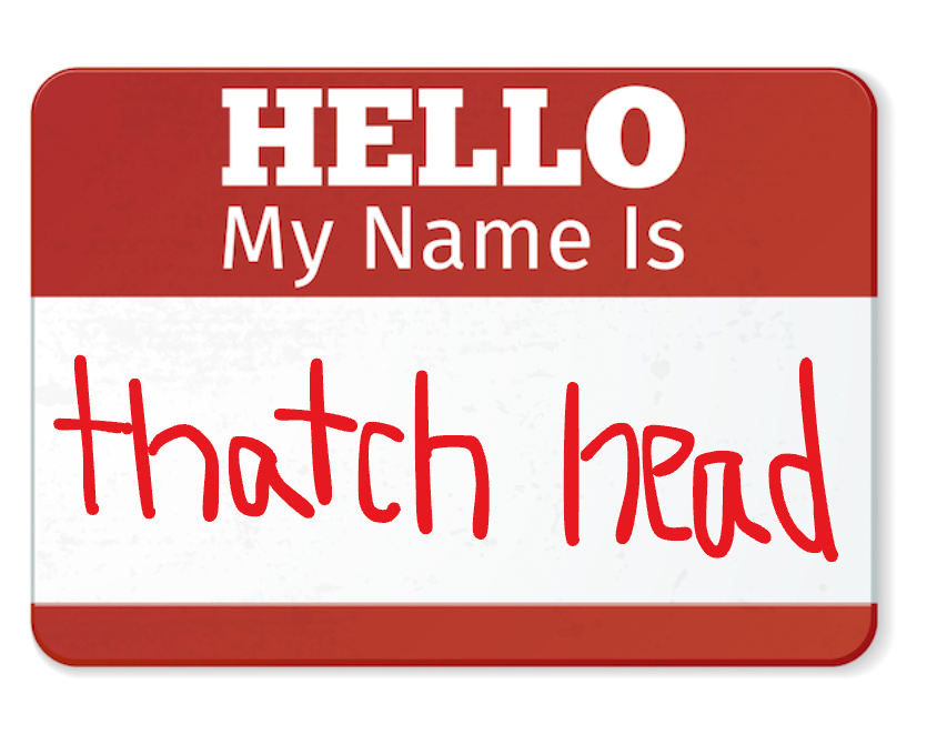The Twelve Steps of Thatch Heads (Not so) Anonymous | by Laurie b ...