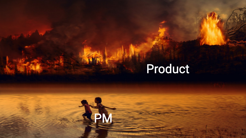 Managing a Bad Product Strategy. How to Identify and Navigate Chaos in ...