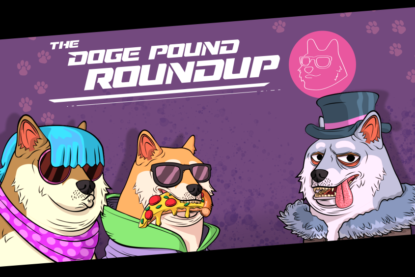 Game Of Doge