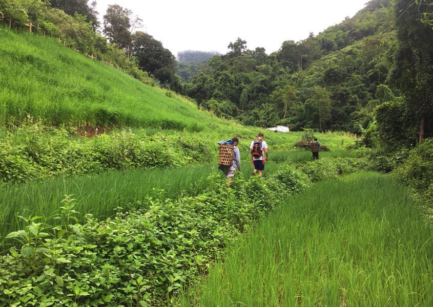 Trekking in Mae hong son. Mae hong son, the city is located in… | by Pree Sirima | Medium