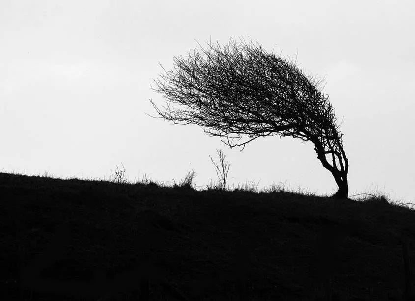 Bend or Break. I just had an interesting inclination… | by Matt Jacquet ...