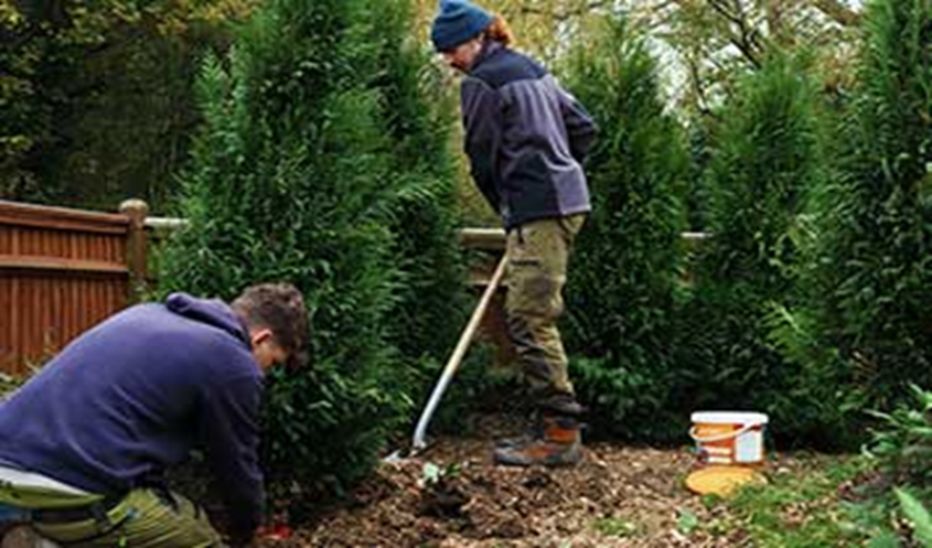 Tree Planting Specialists in East Fishkill, NY: Arborx Tree Service ...