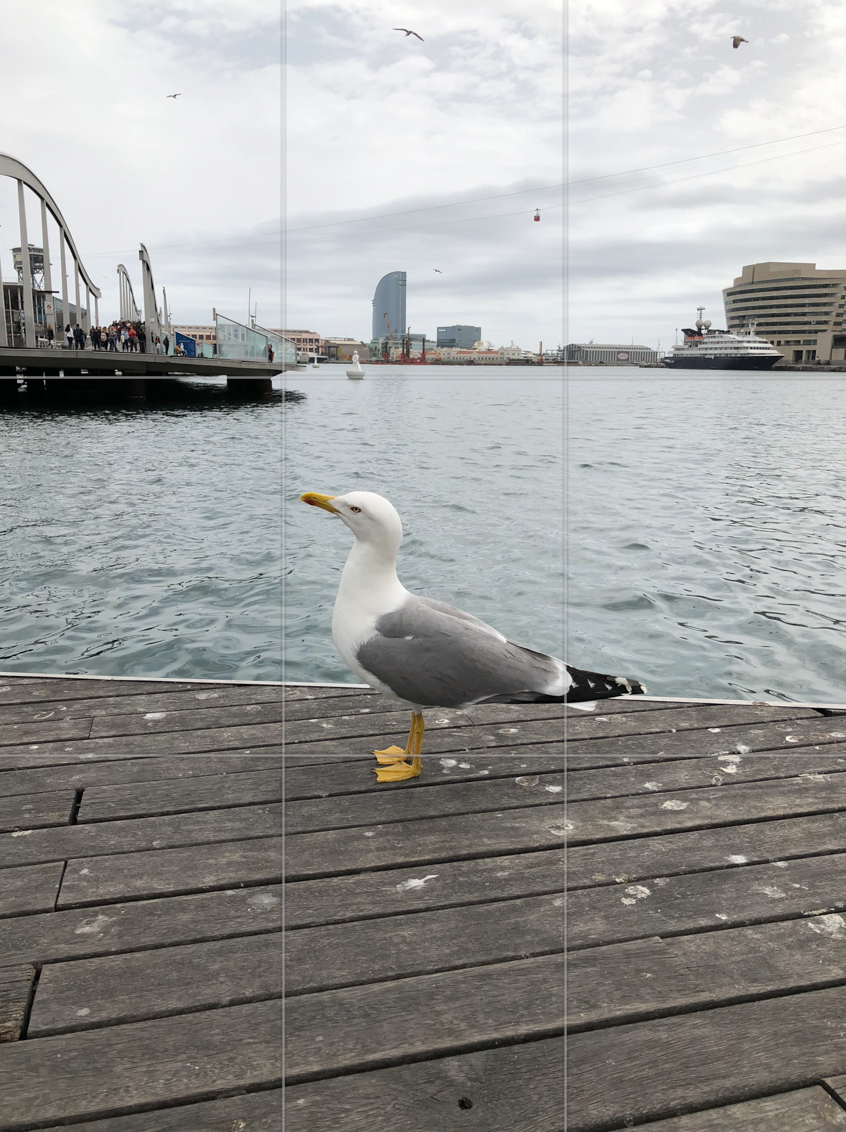 The Ultimate Guide to Post-Processing Photographs | by Draagu | Medium