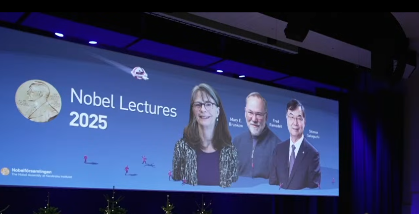 The Body’s Peacekeepers: Inside the 2025 Nobel Prize in Medicine | by ...