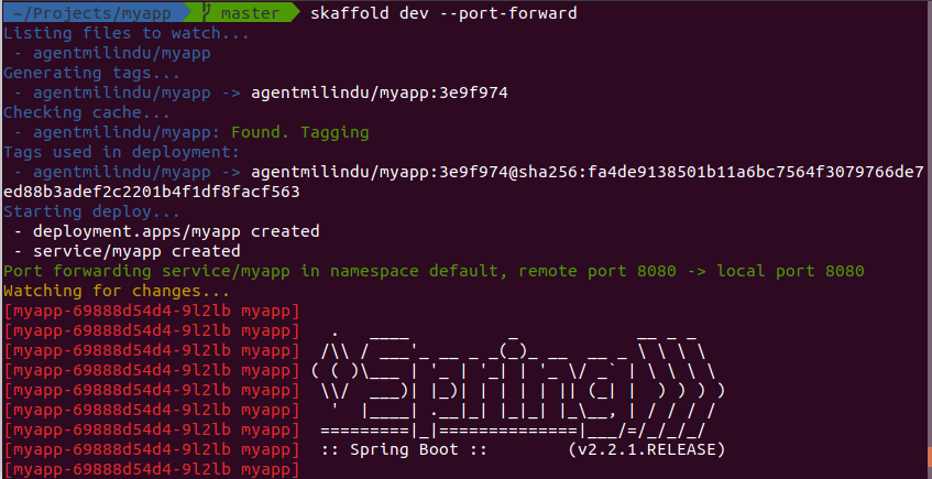 Skaffold & Jib for running Java applications on Kubernetes | by Milindu ...