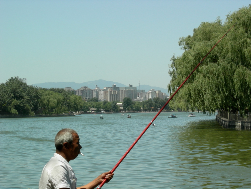 Vegan Hunting. Towards Future City | by Daniel Idziak | Medium