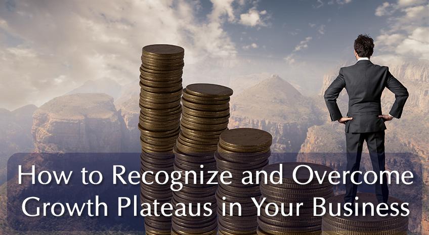 How to Recognize and Overcome Growth Plateaus in Your Business | by ...