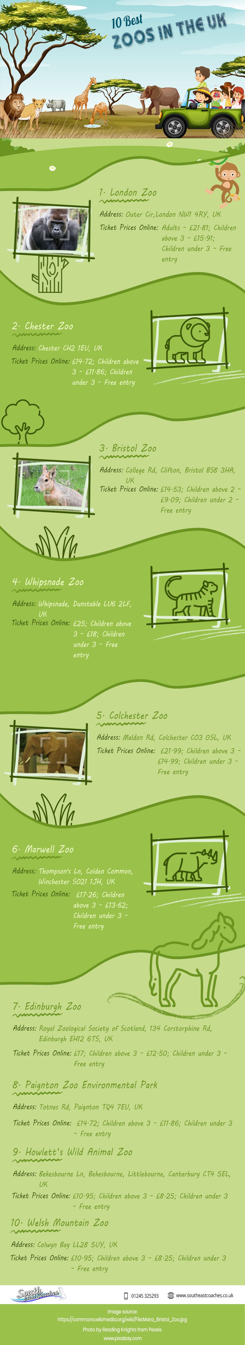 10 Best Zoos In The UK — Zoo Days Out With Family And Children | by ...