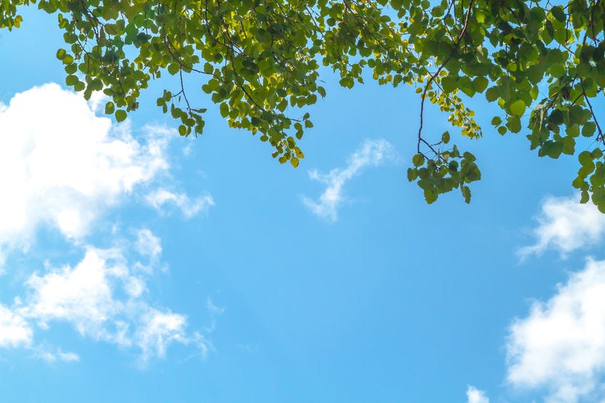 💧 Let’s All Take a Deep Breath. Feeling blue? Try this color meditation ...