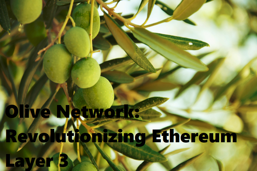 Olive Network: Revolutionizing Ethereum Layer 3 | by Андрей Ануфриев ...