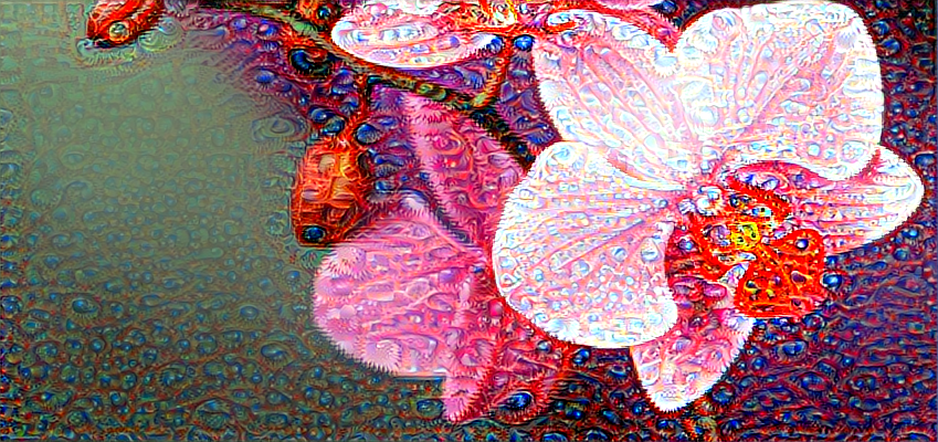 Style Transfer. https://github.com/ejaekle/deeplearning | by Emily ...