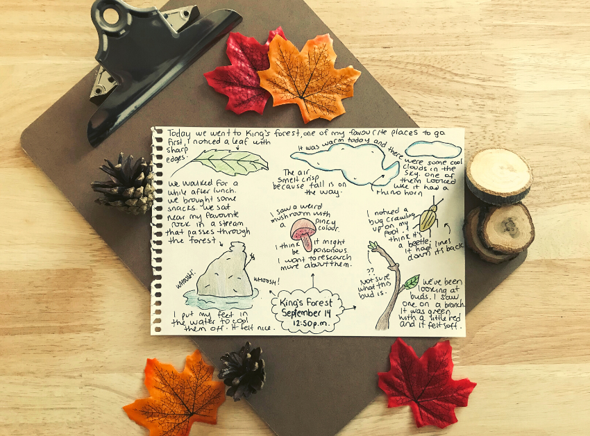 How to Use Nature Journaling in Inquiry Learning — Learning by Inquiry ...