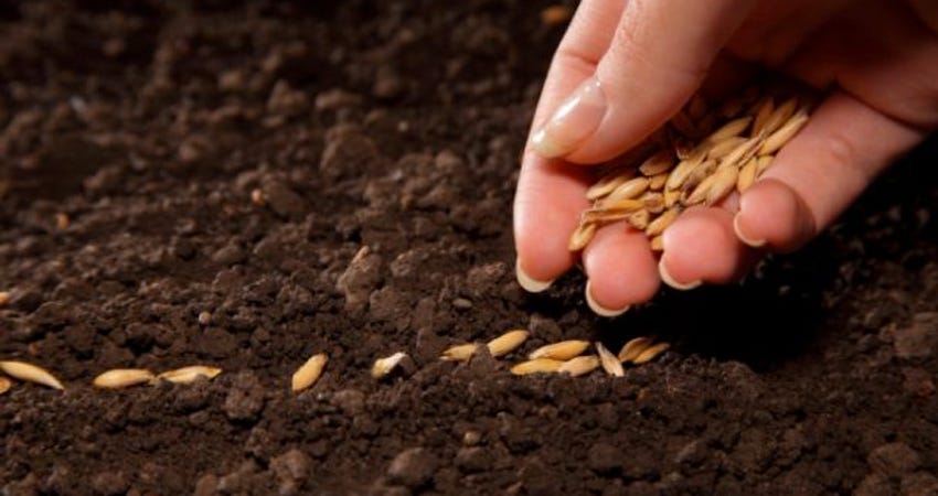 Recursos Dramáticos para guionistas: Planting y Pay off | by Clara ...